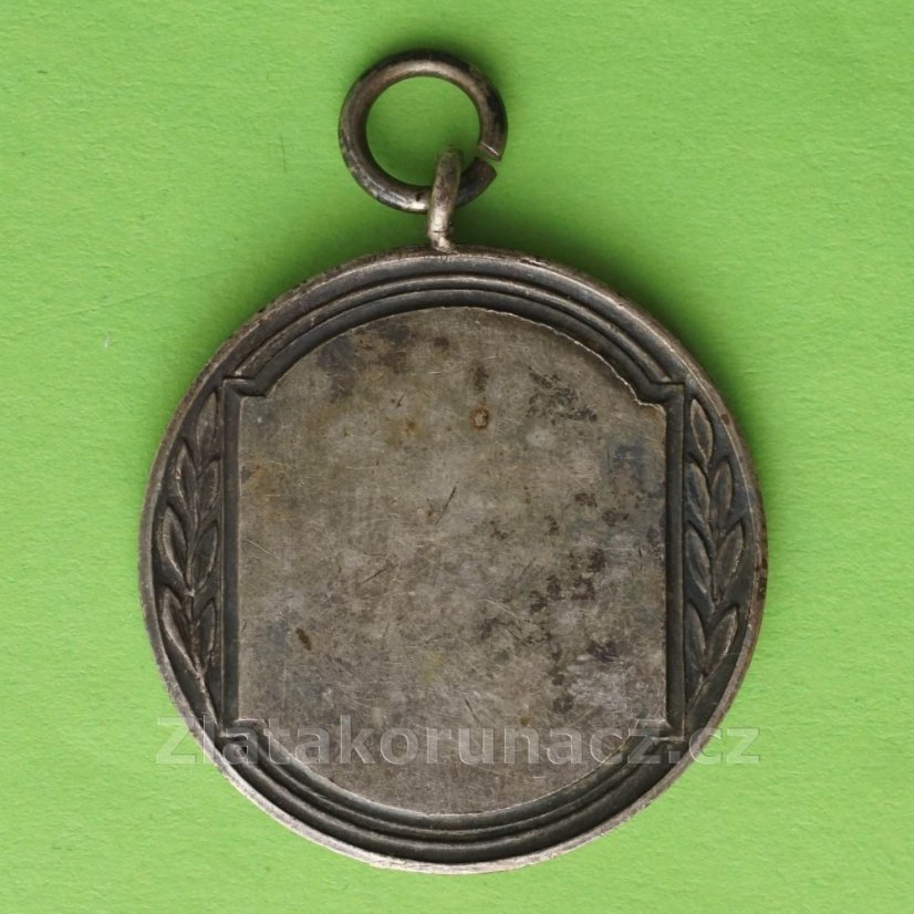 Veslování - vodácká medaile :: Numismatika Zlatá Koruna